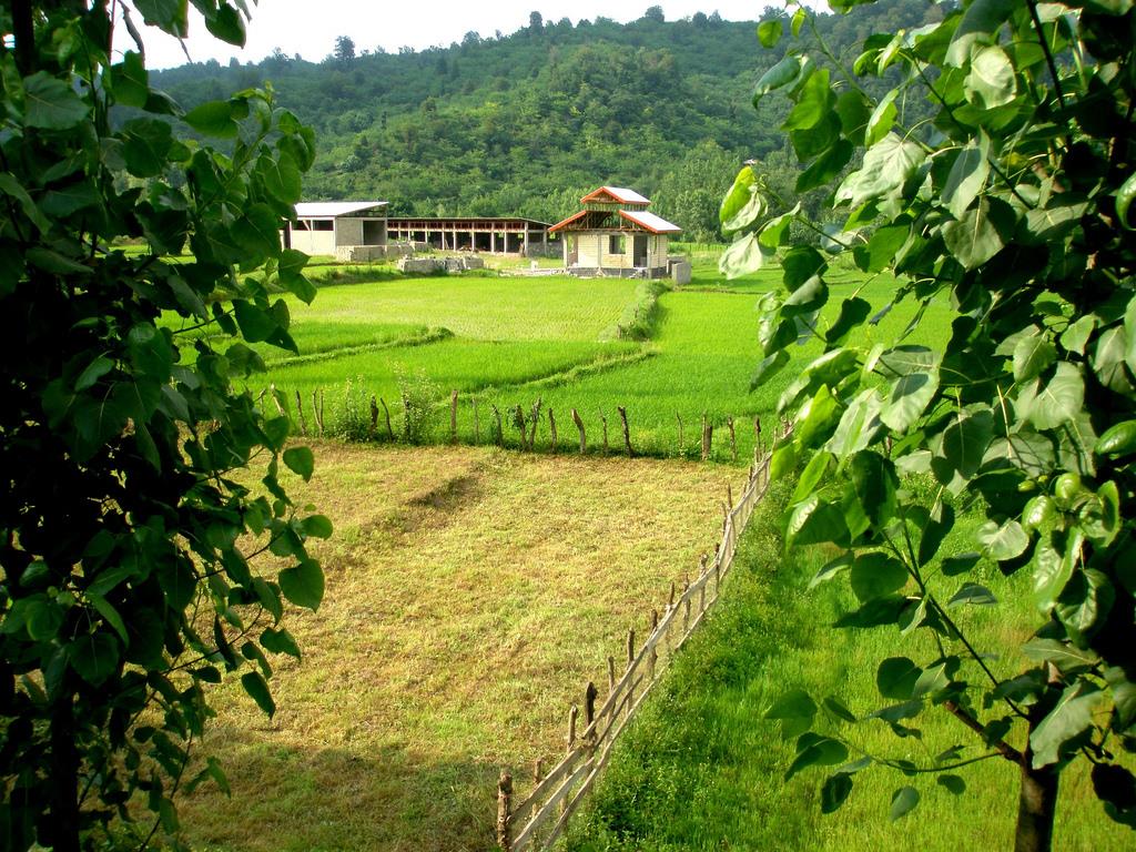 Foman; Stadt der Statuen und Gebäck - IranKultur - Iran | Kultur | Reisen