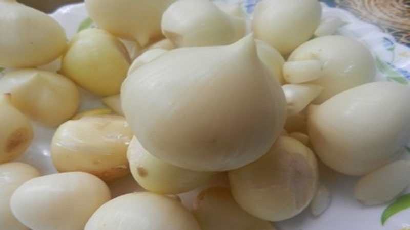 Musir (Allium hirtifolium) - Seltene Pflanzenart in Iran - IranKultur ...