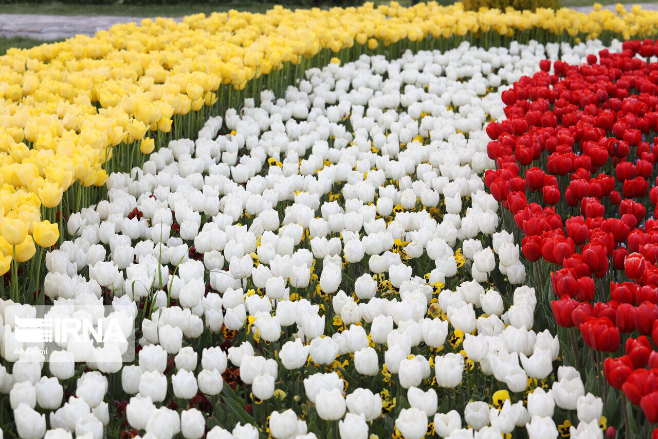 Stadt Mahalat; Hauptstadt der bunten Blumen des Iran - IranKultur ...