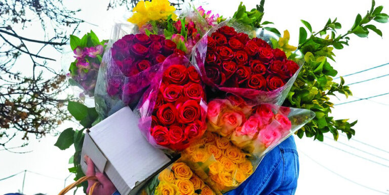 Nouruz: ein Fest für 300 Millionen Menschen - IranKultur - Iran ...